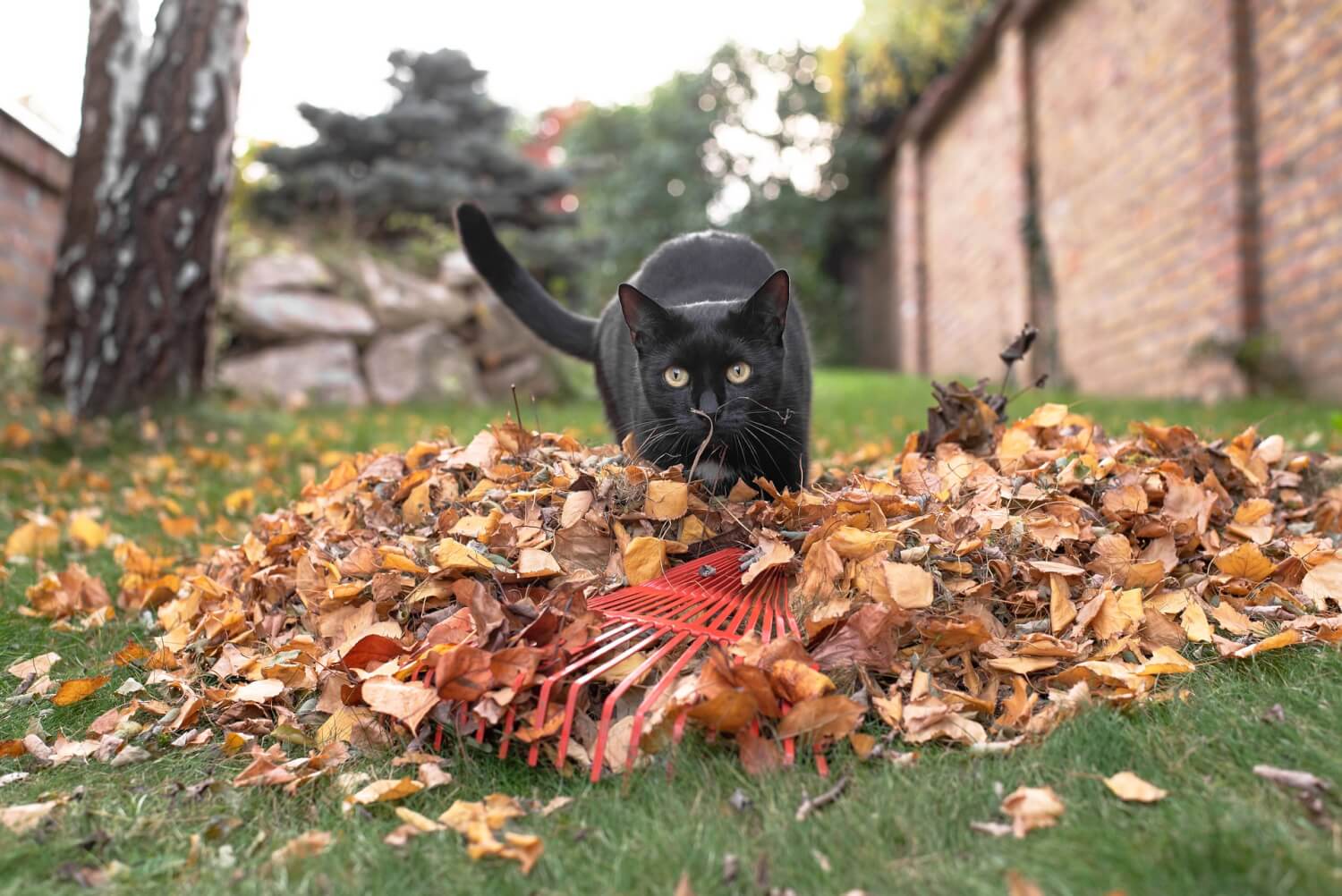 Winterizing your balcony - hardy plants & co. I MYHOME BLOG