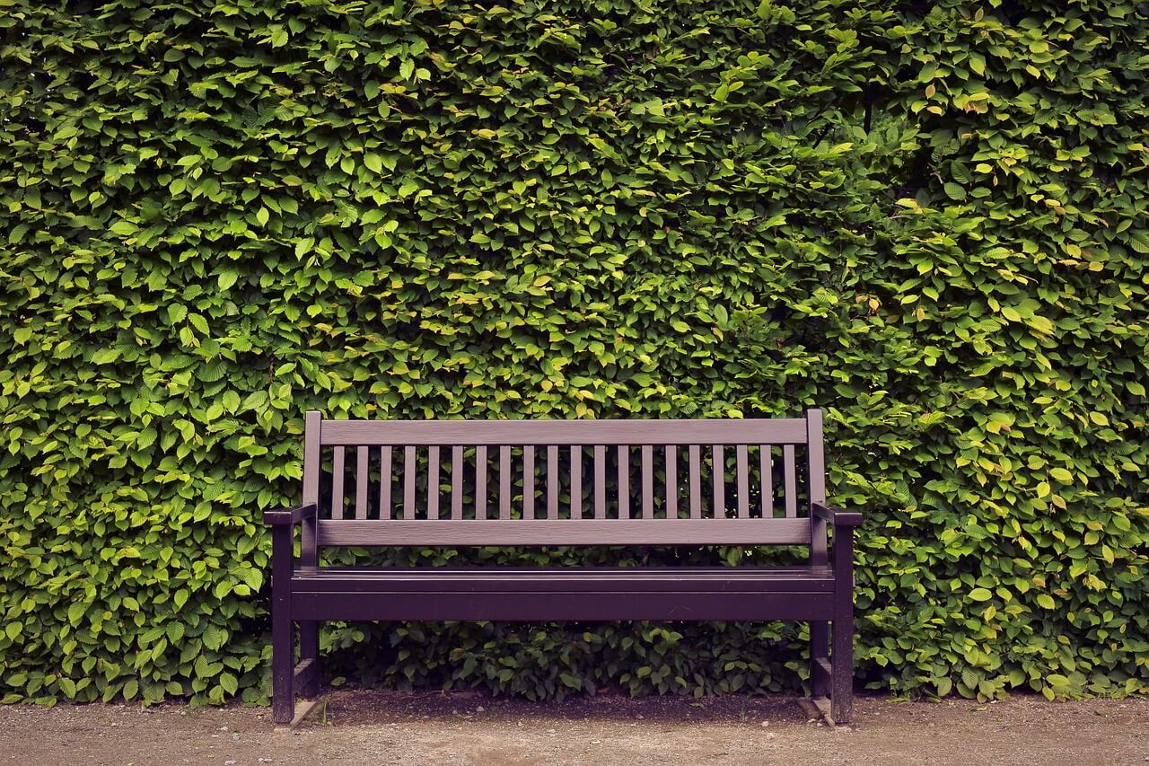Beautifully trimmed - cutting hedges correctly I MYHOME.AT
